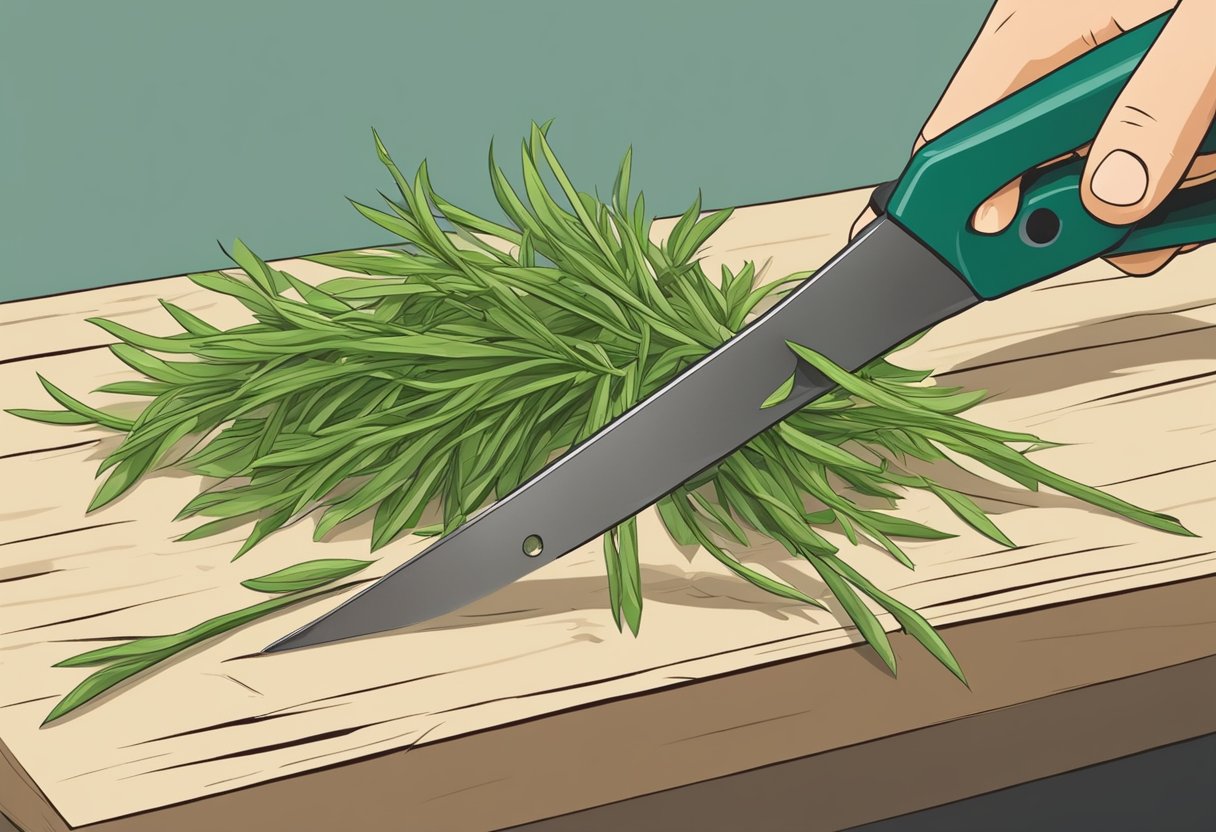 How to Prune Tarragon: Expert Tips for Healthy Growth - Evergreen Seeds